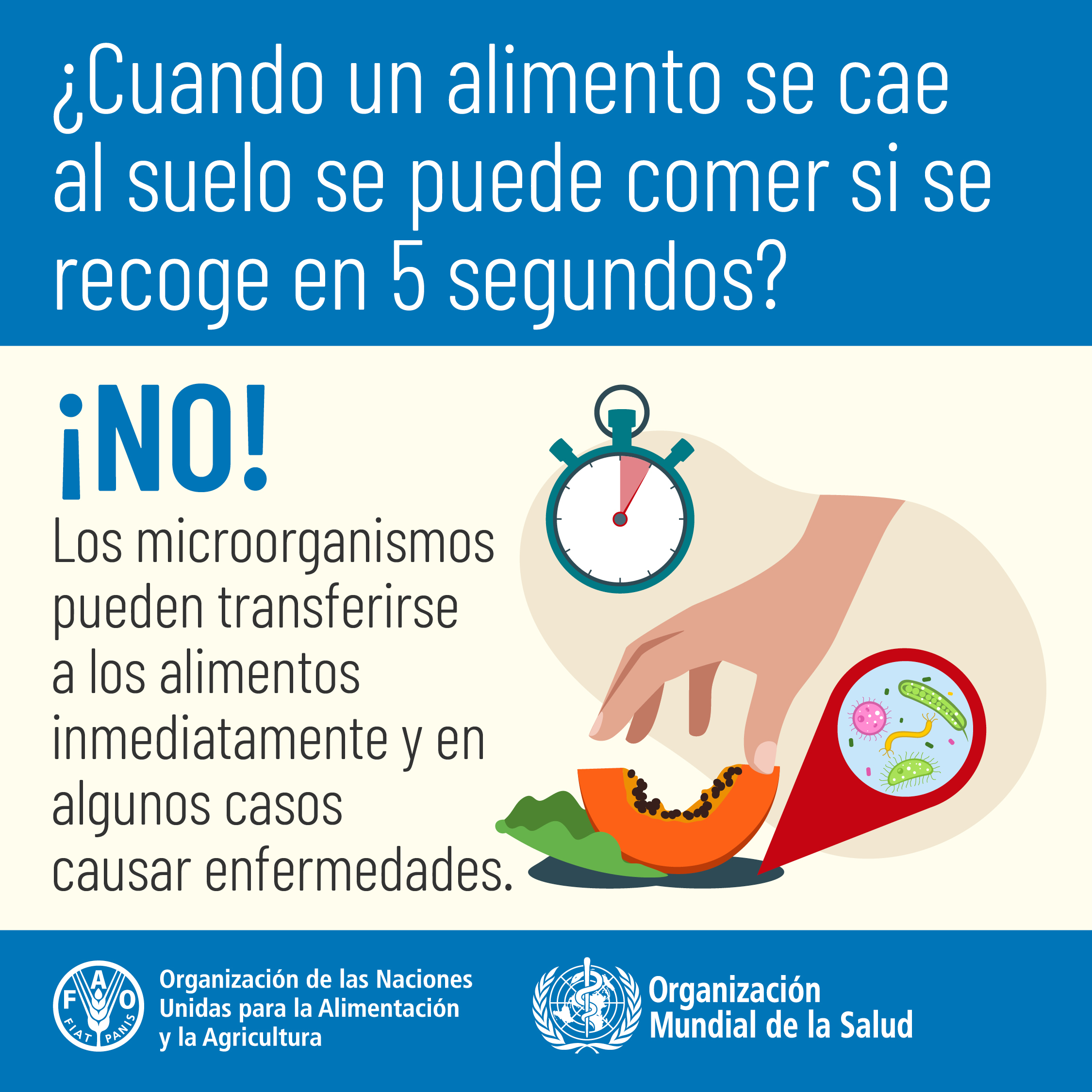 Inocuidad y Gestión Alimentaria | Aliar Gestiona